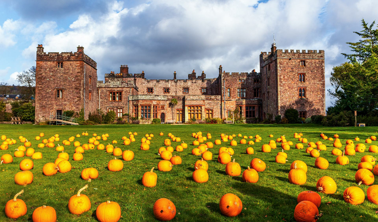 Things to do in Ravenglass | Western Lake District & Coast